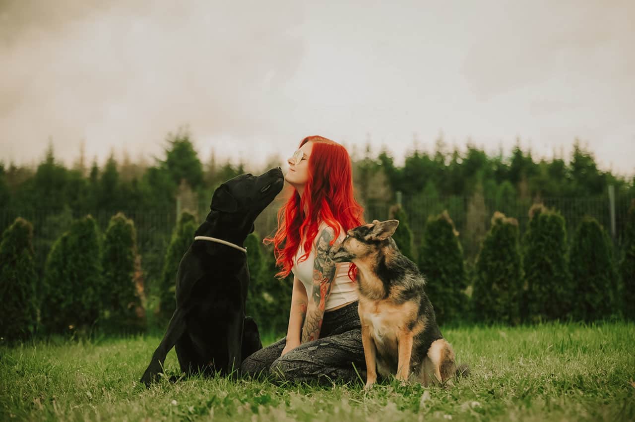 Galerie - Lin - die_mit_den_Hunden