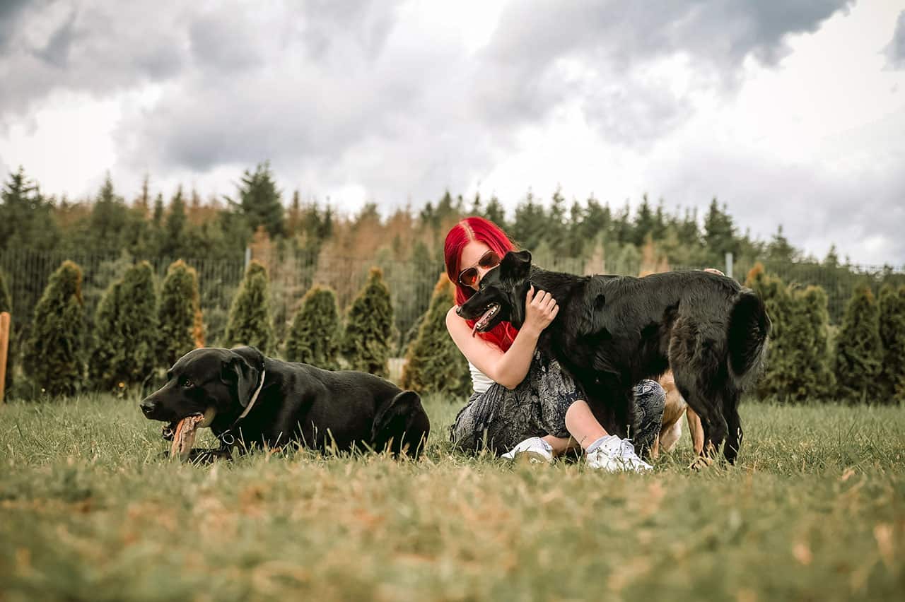 Galerie - Lin - die_mit_den_Hunden