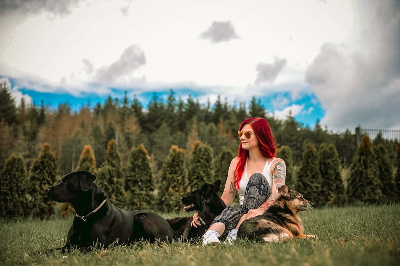 Galerie - Lin - die_mit_den_Hunden